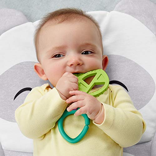 Fisher-Price Paws & Pose Panda Playmat – Square Imports